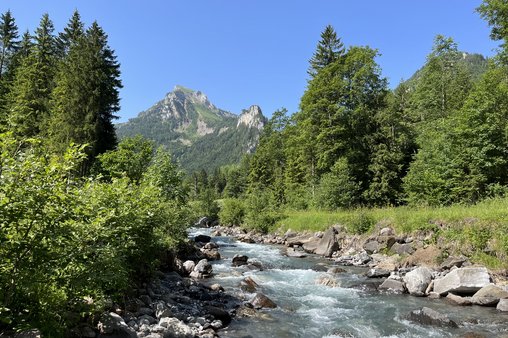 Liebesbriefe an Uri: Ansehen